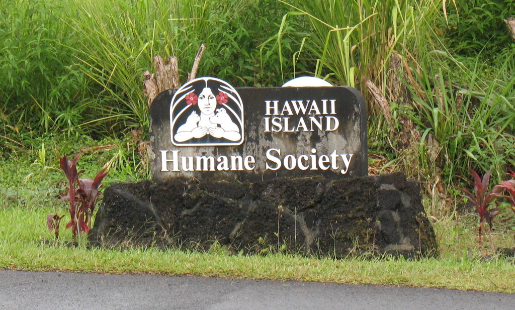 Hawaii Island Humane Society Reorganizes, Hires CEO : Big Island Now