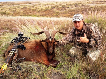 Want to Go on a Hawaii Hunting Tour? : Big Island Now