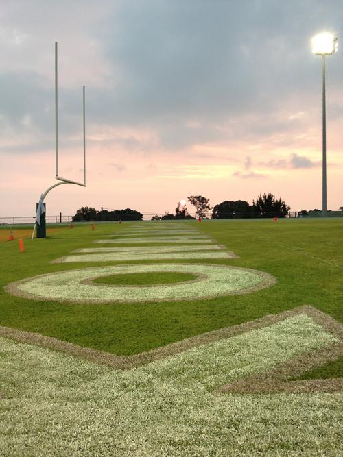 Gridiron Preview: No. 2 Seeds Up for Grabs in Both Divisions : Big ...