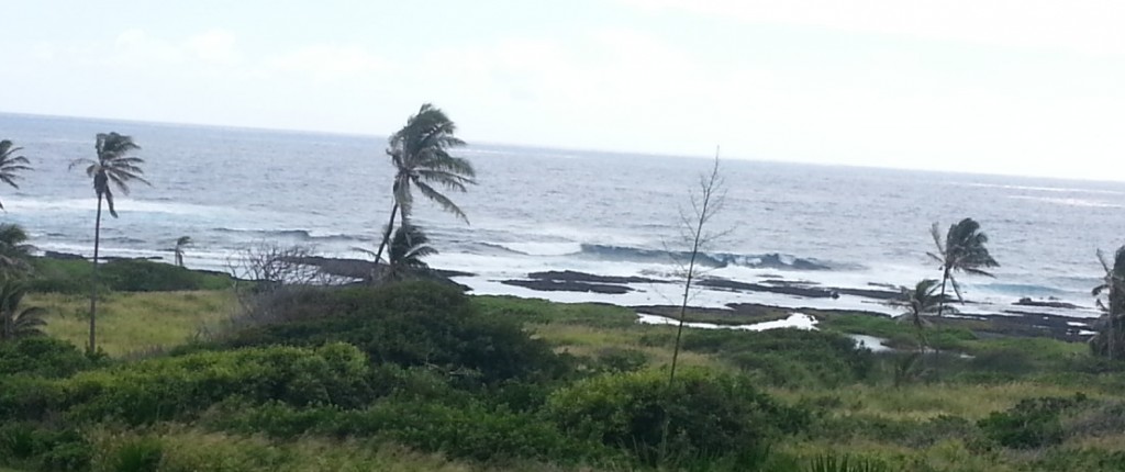 UPDATE: Beach Where Shark Bite Occurred Reopening : Big Island Now