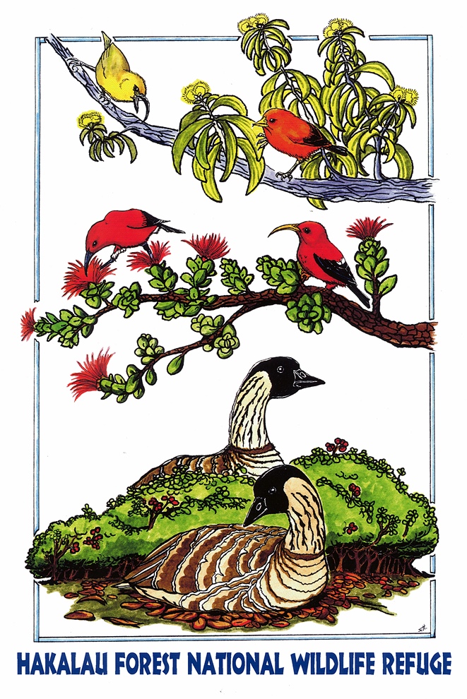 Open House At Hakalau Wildlife Refuge : Big Island Now