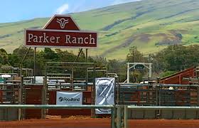 Electricity ‘Microgrid’ Focus of New Parker Ranch Subsidiary : Big ...
