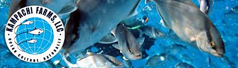 Kona Fish Farm Gets State Grant : Big Island Now