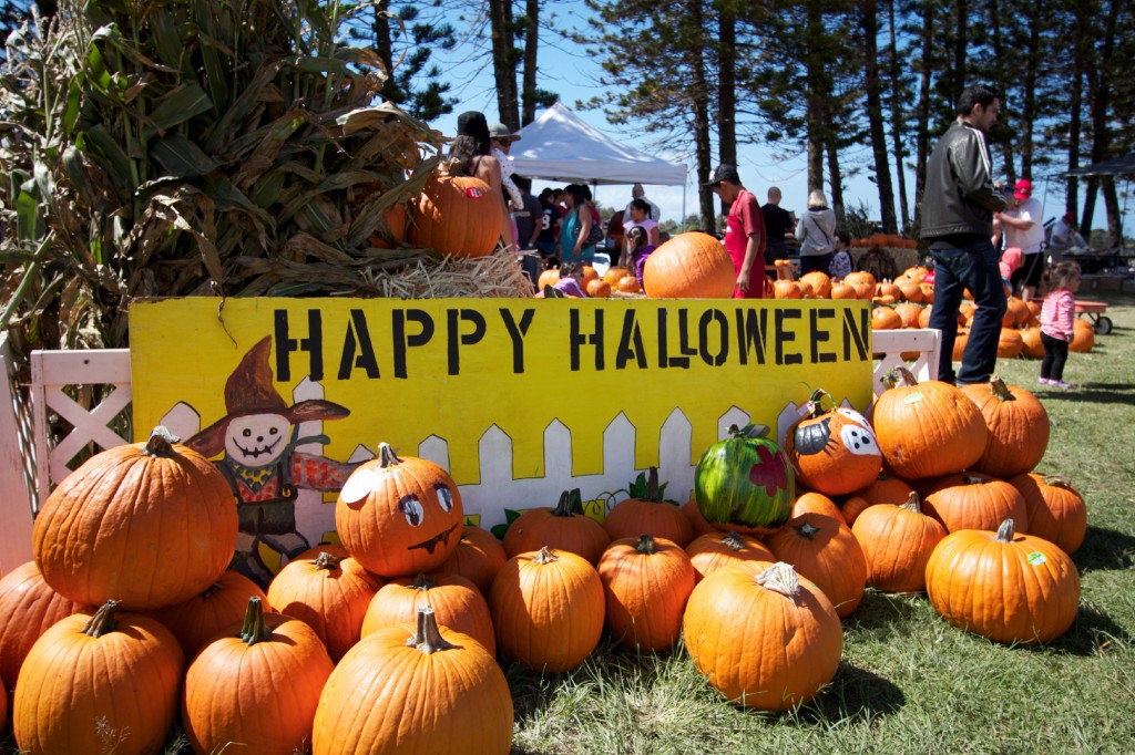 HPA Pumpkin Patch Festival Coming Oct. 19 : Big Island Now