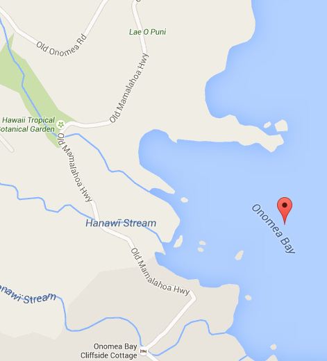 Tour Van Rolls into Onomea Bay : Big Island Now