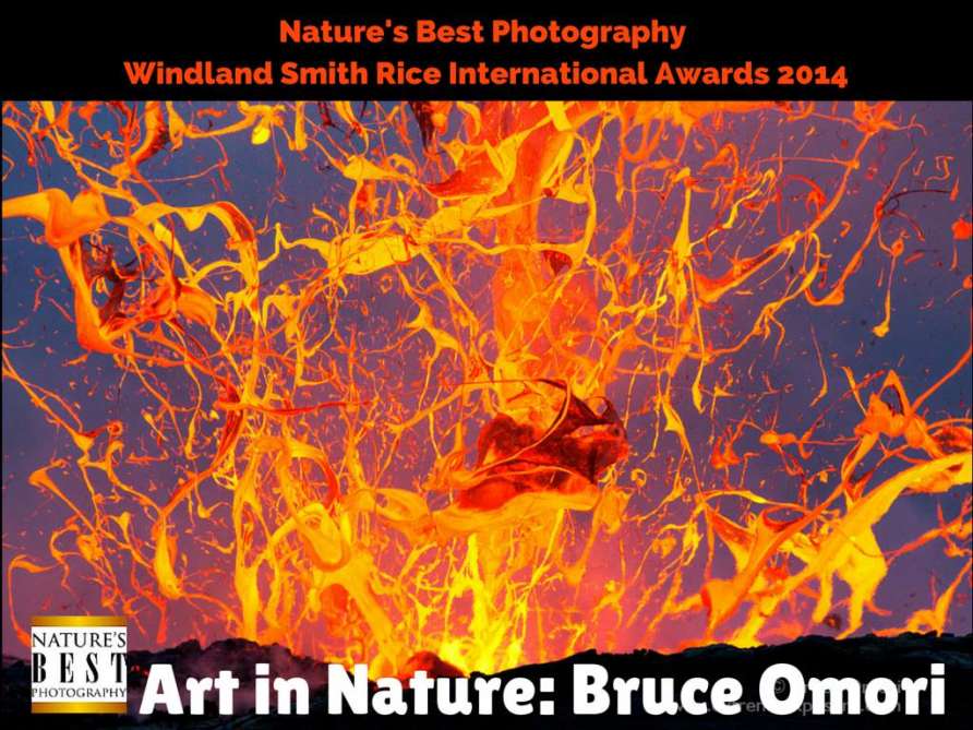 Hilo Gallery Owner, Photographer Earns National Recognition : Big ...