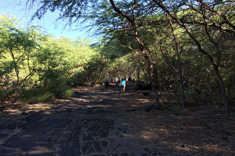 Scheduled Kaloko-Honokōhau Visitor Center Closure : Big Island Now