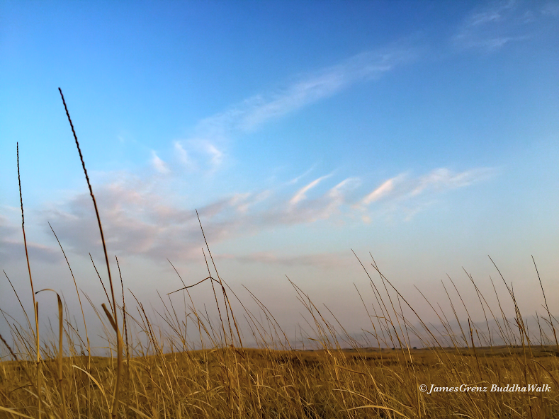 Light, Variable Winds Expected Today : Big Island Now