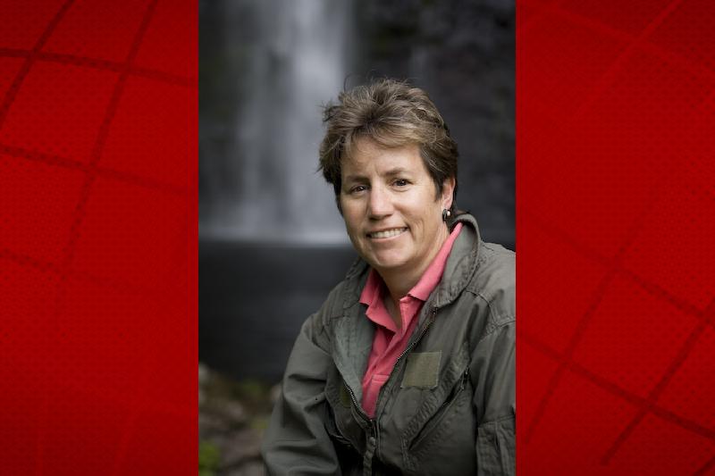 DLNR Chair Appoints Task Force on Revocable Permits : Big Island Now