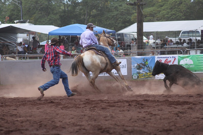 Pana’ewa Hosts Presidents’ Day Weekend Rodeo Tradition : Big Island Now