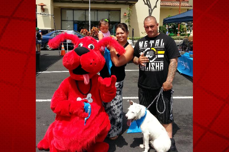 Kona Commons Annual St. Pet-Tricks Day : Big Island Now