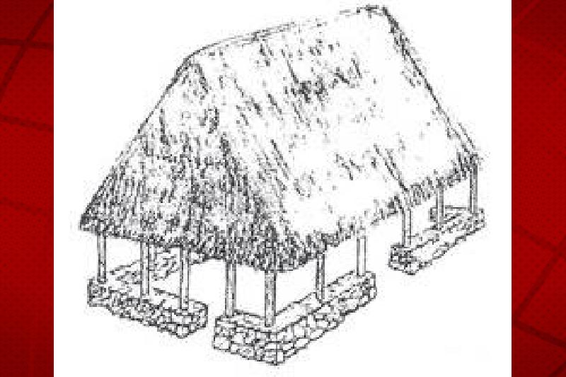 Traditional Hale Building Within Discovery Forest : Big Island Now