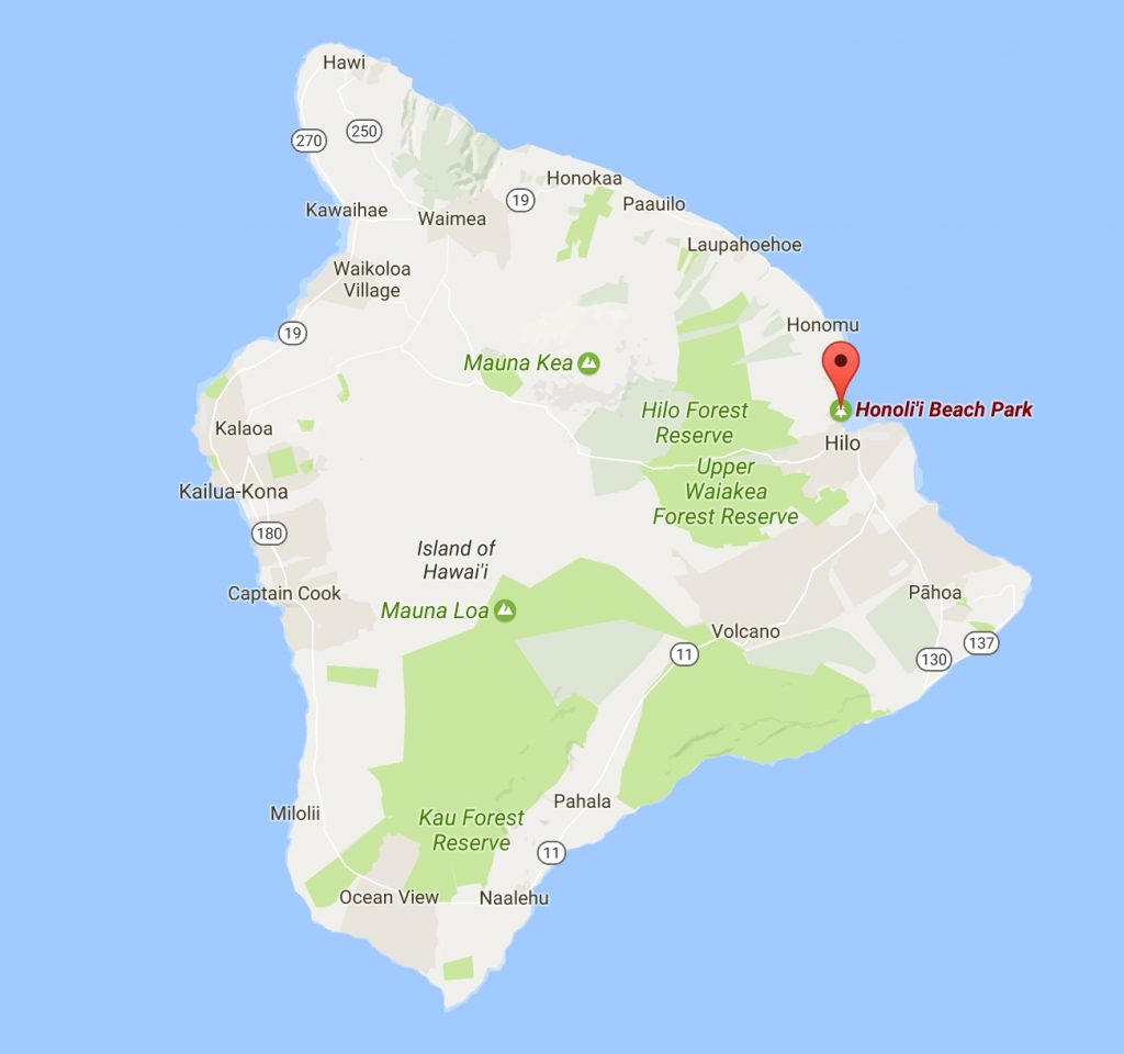 Near Drowning Off Honoli‘i Beach Park : Big Island Now
