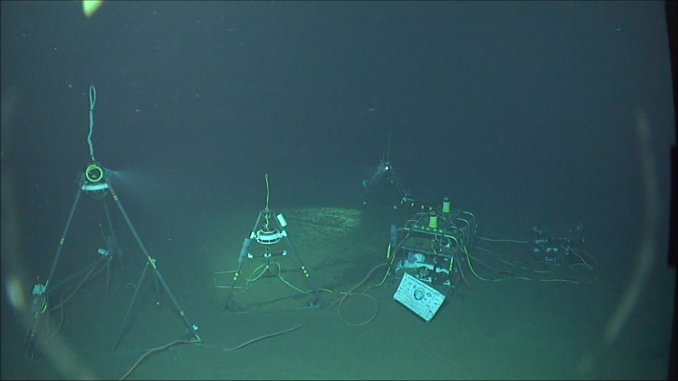 Deepest Ocean Observatory Reveals New Discoveries : Big Island Now