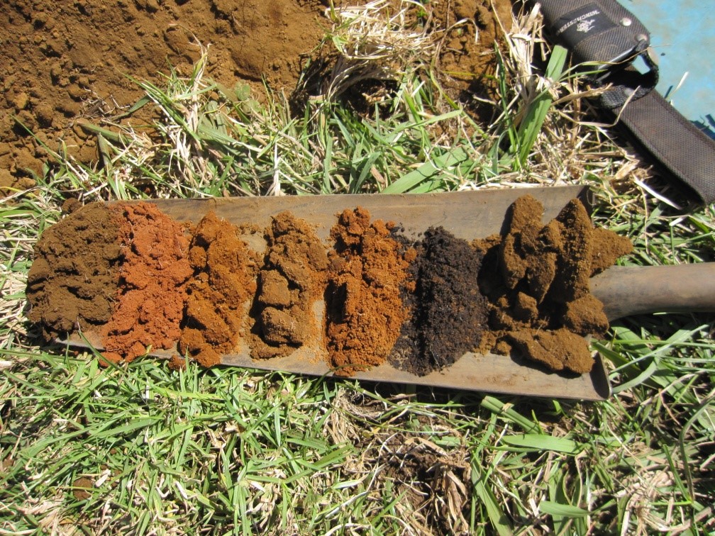 Discover the Secrets of Hawai‘i’s Soil : Big Island Now