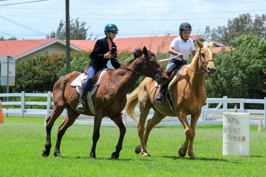 41st Annual HPA Horse Show on April 23 : Big Island Now
