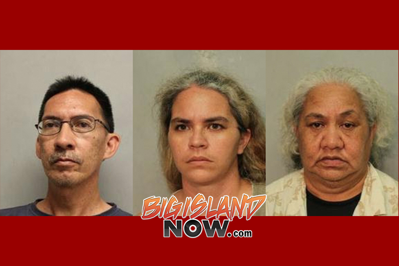 Three Arrested in Connection With Murder of 9-Year-Old Hilo Girl : Big ...