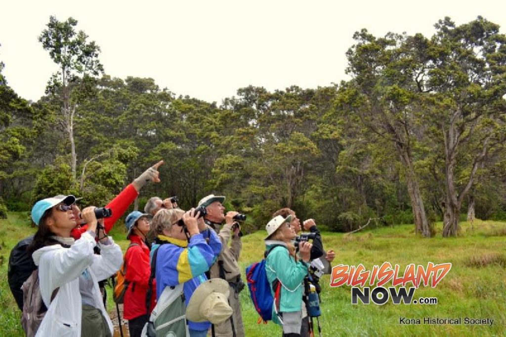 Rare Tour Offered at McCandless Ranch, Home of ‘Alalā : Big Island Now