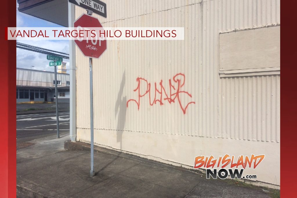 Vandals Target Temple Children Mural in Hilo : Big Island Now