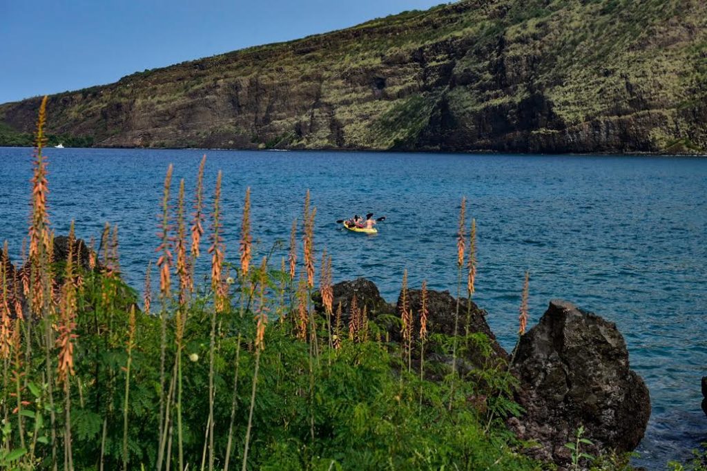 Big Island Surf Forecast: High Surf Advisory Extended : Big Island Now