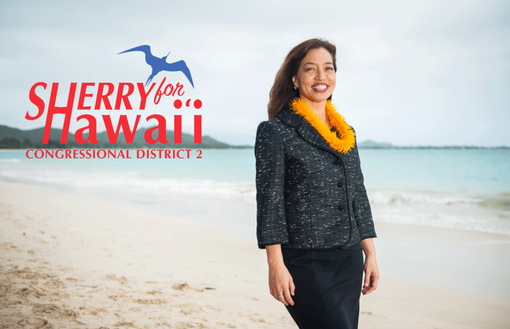 District 2 Candidate Campagna to Hold Fundraiser : Big Island Now