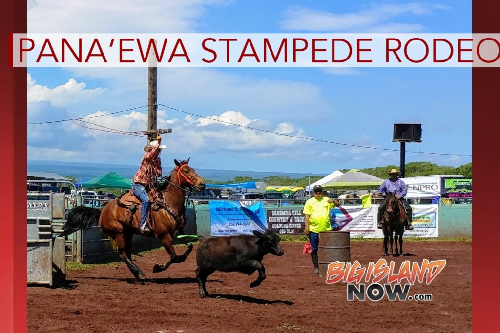 Rain Didn’t Impede 2018 Pana‘ewa Stampede Rodeo : Big Island Now