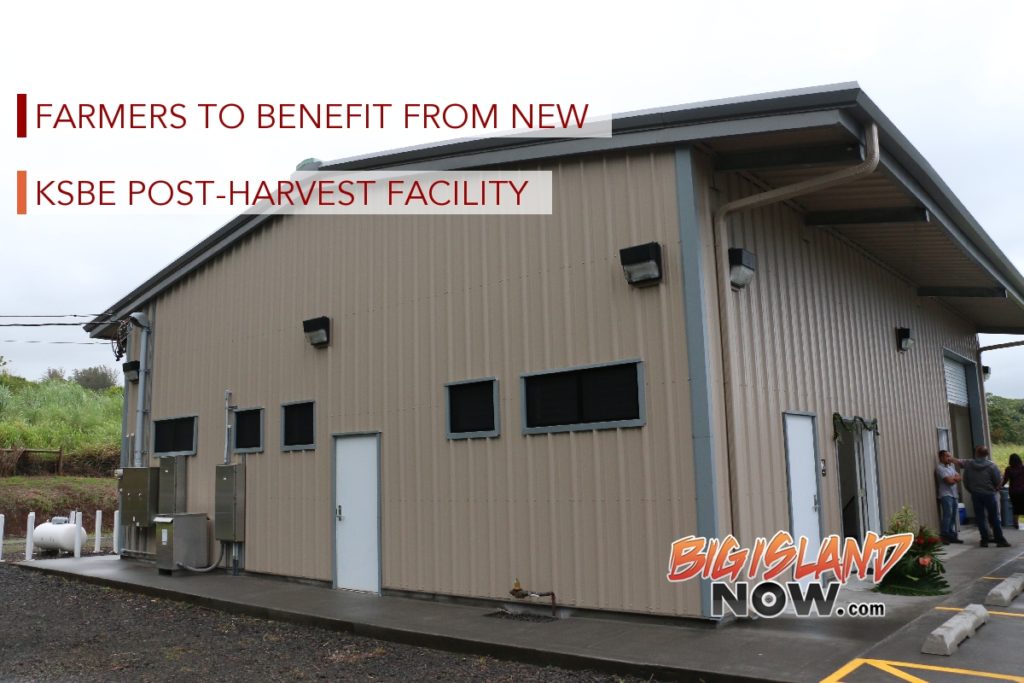 Farmers to Benefit from New KSBE Post-Harvest Facility : Big Island Now