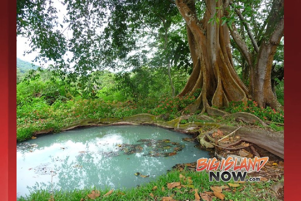 Hawaiʻi County ‘behind the 8-ball’ to meet required conversion of ...