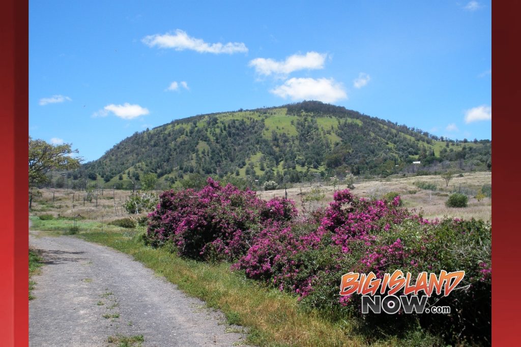 Hunter Education Seminar to be held at Pu‘u Wa‘awa‘a : Big Island Now