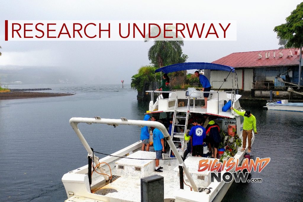 Research on Impacts of Lava Ocean Entry Underway : Big Island Now