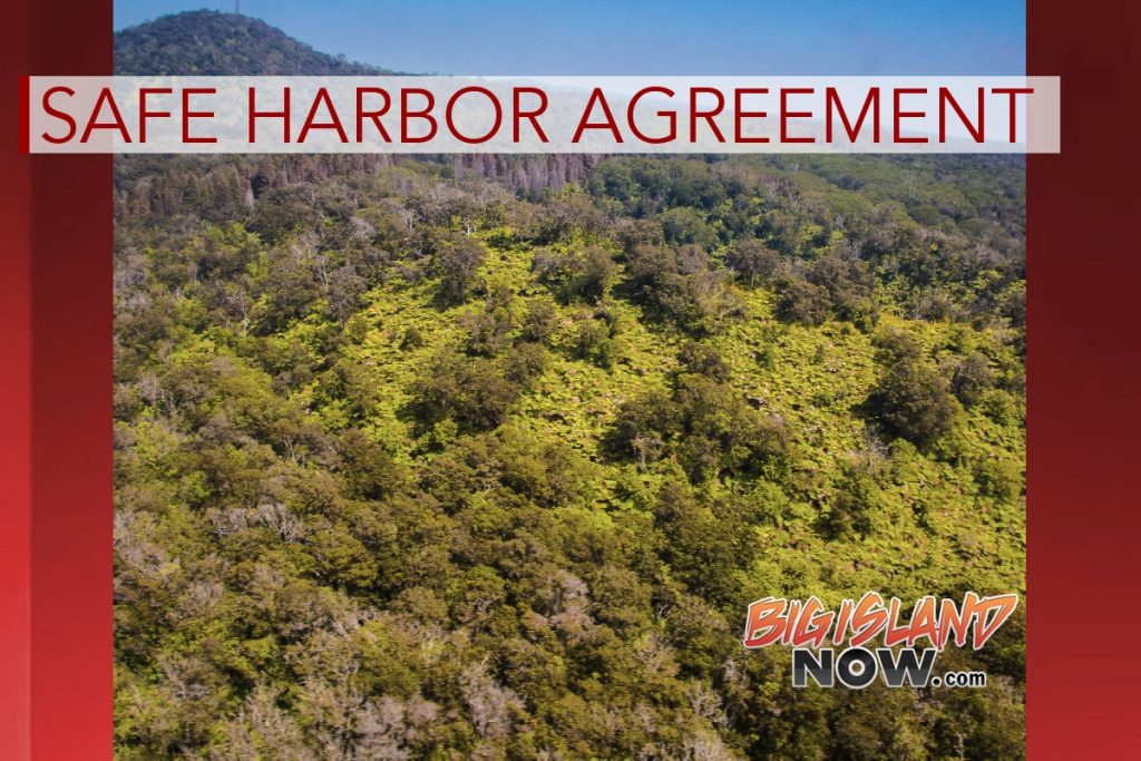 32 Endangered Species Protected Under Safe Harbor Agreement : Big ...