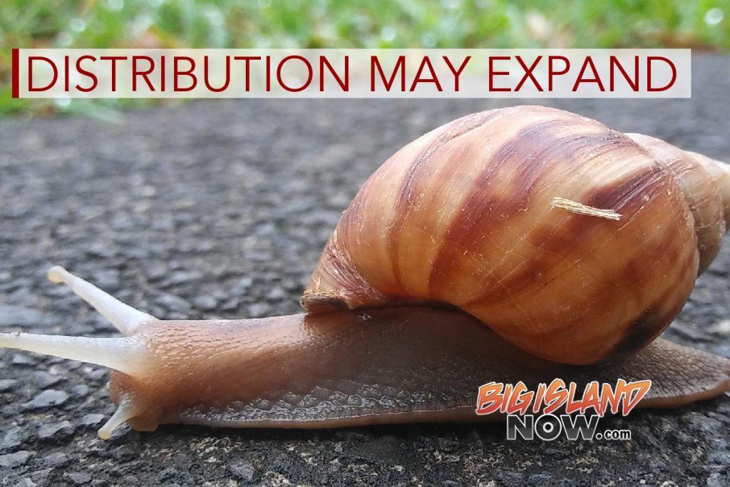 UH Researchers Predict Rat Lungworm Distribution : Big Island Now