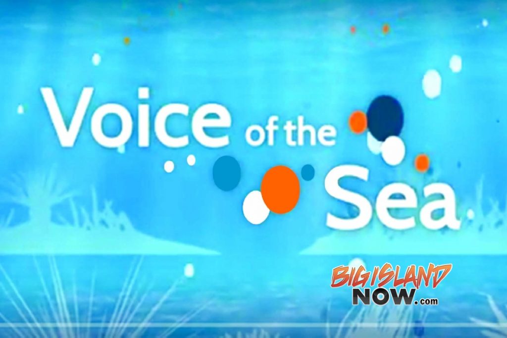 Award-winning TV Series Explores Ocean Issues in Hawai‘i : Big Island Now