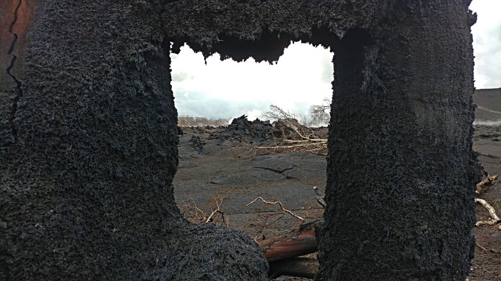 Lava Tree Molds Form in Leilani Estates : Big Island Now