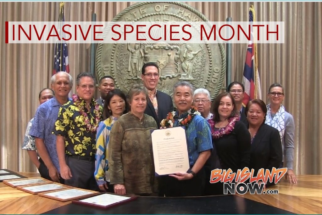 Gov. Ige Proclaims February as Invasive Species Month : Big Island Now