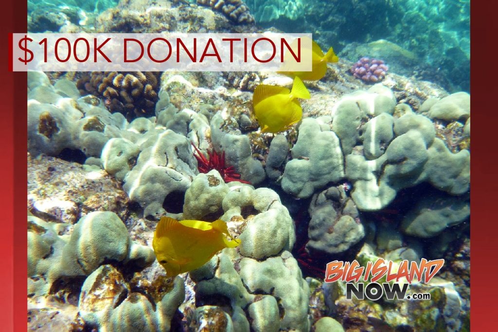 Gates Coral Lab Receives $100K Donation for Critical Research : Big ...