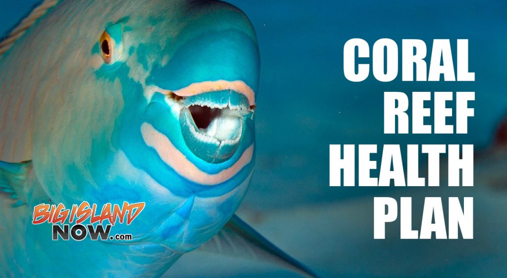 Study Outlines Path to Restore Reef Health in Hawai‘i : Big Island Now