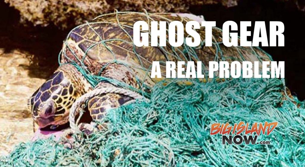 Abandoned Fishing Gear Poses Major Marine Environment Problem : Big ...