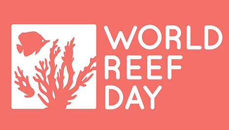 World Reef Day 2019 Launches in Waikīkī : Big Island Now