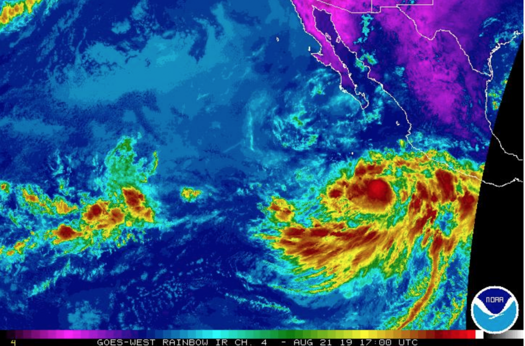 New Tropical Depression Forms in East Pacific : Big Island Now