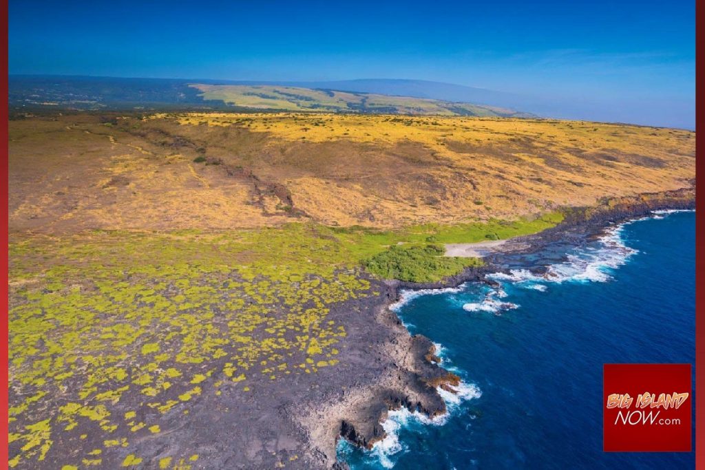 Deal Reached to Preserve Land Along Ka‘ū Coast : Big Island Now