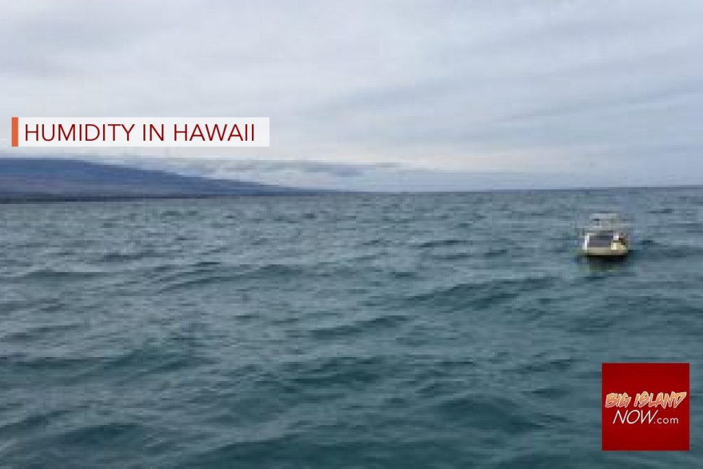 UH Research Shows Humidity Declining in Hawaiʻi : Big Island Now
