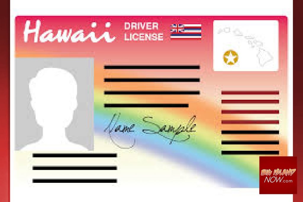 Gender-Neutral Option Now Available on State IDs, Driver’s Licenses ...