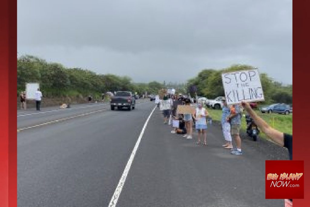 West Hawai‘i Protest Draws Hundreds Sunday : Big Island Now