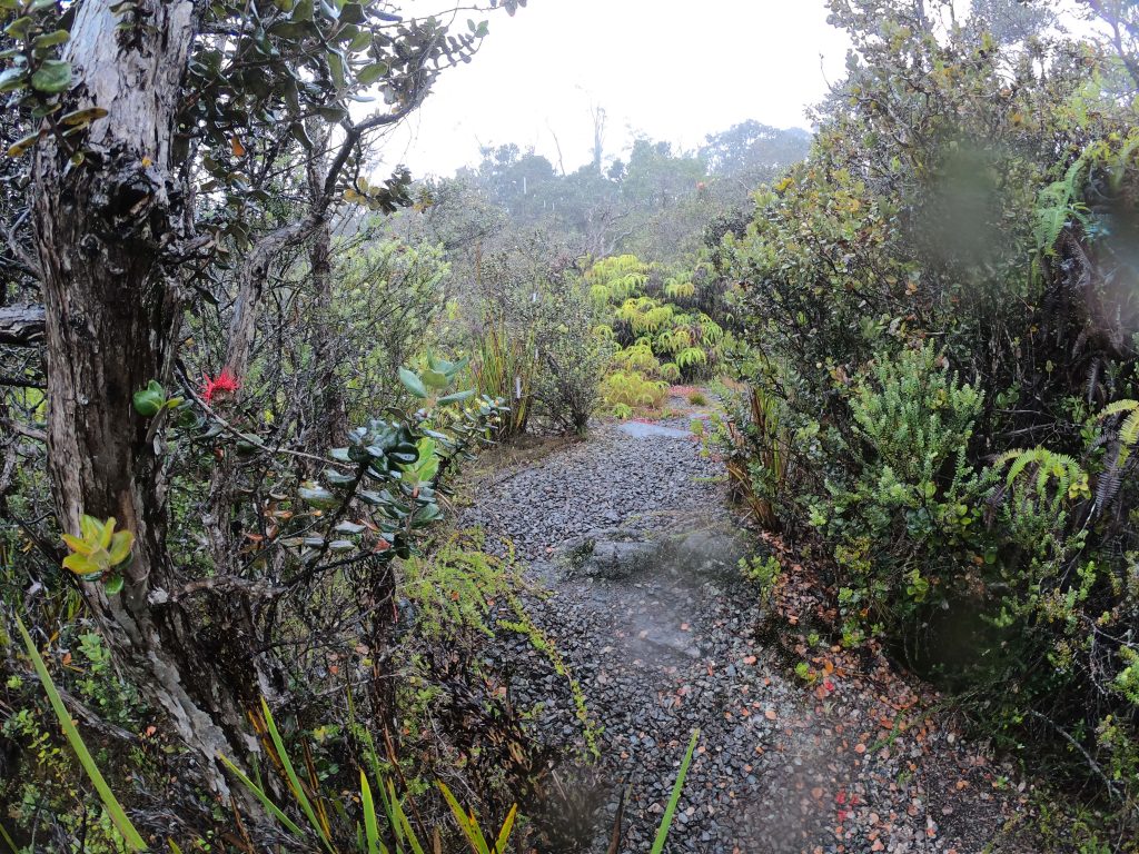 Kaulana Manu Nature Trail. Mauna Kea. Nature Trails. PC: DLNR : Big ...