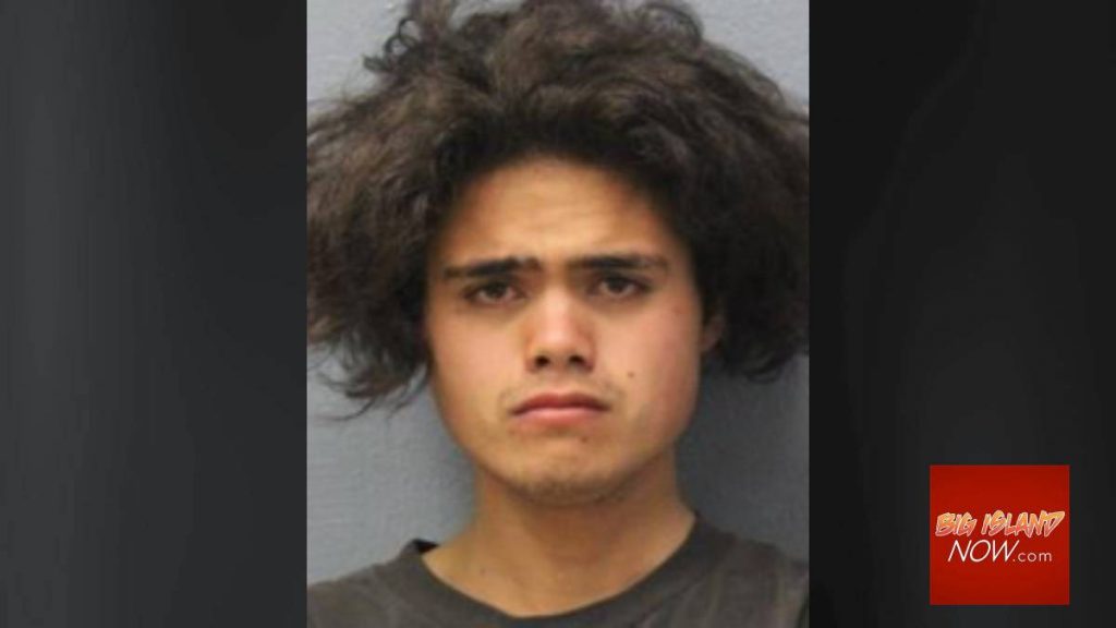 Kamuela Man Arrested For String of Property Crimes : Big Island Now