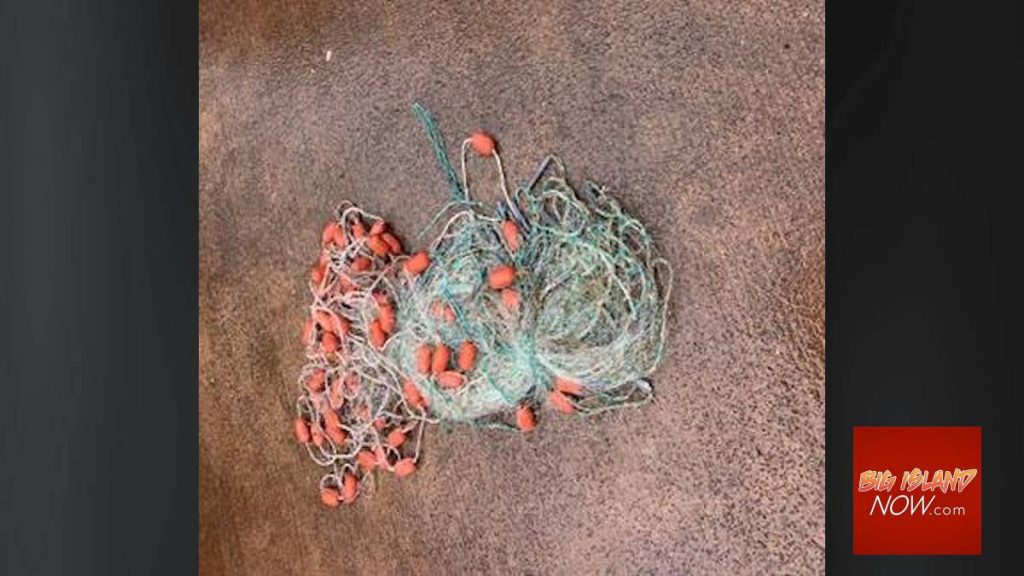 Fishers now must obtain a permit to use lay nets in State waters : Big ...
