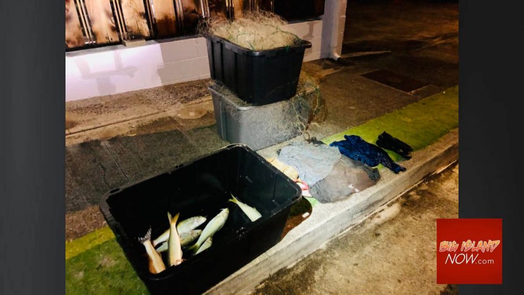 Public Hearing Approved for Proposed New Rules for Lay Nets : Big ...