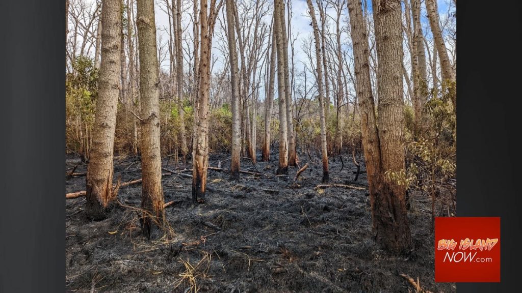 Wildfire Within HVNP Now 95% Contained : Big Island Now