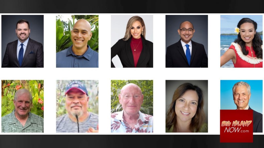 Q&A: Learn about Big Island candidates running for House of ...